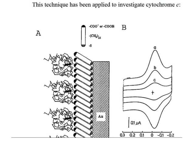 Electro protein chemistry | PPT