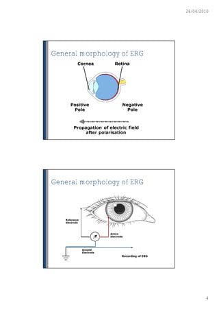 Electroretinography | PDF