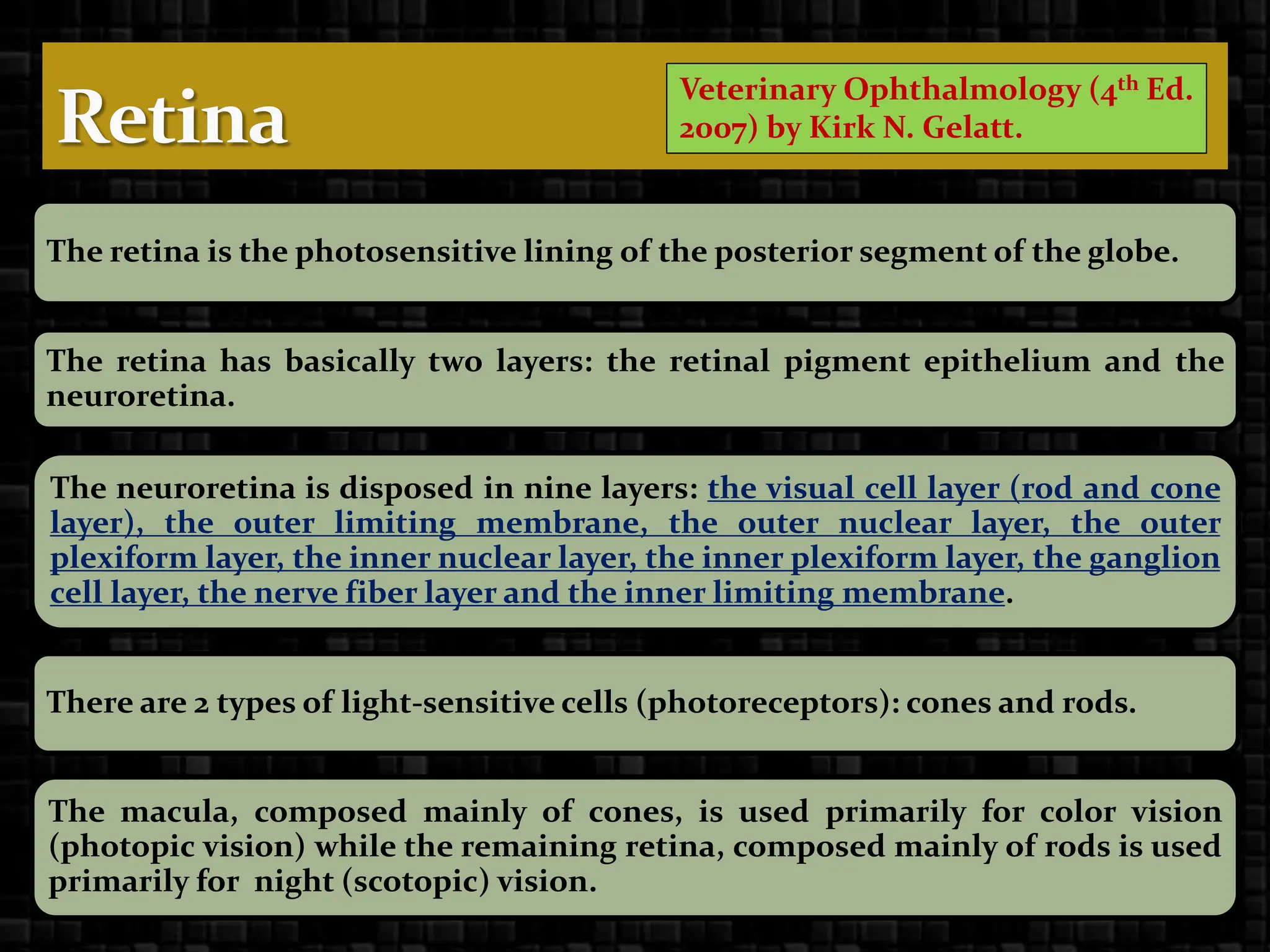 ELECTRORETINOGRAPHY (in veterinary).pptx