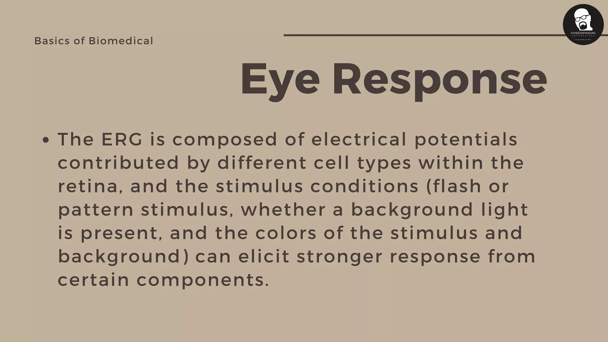 Electroretinography basics | PDF