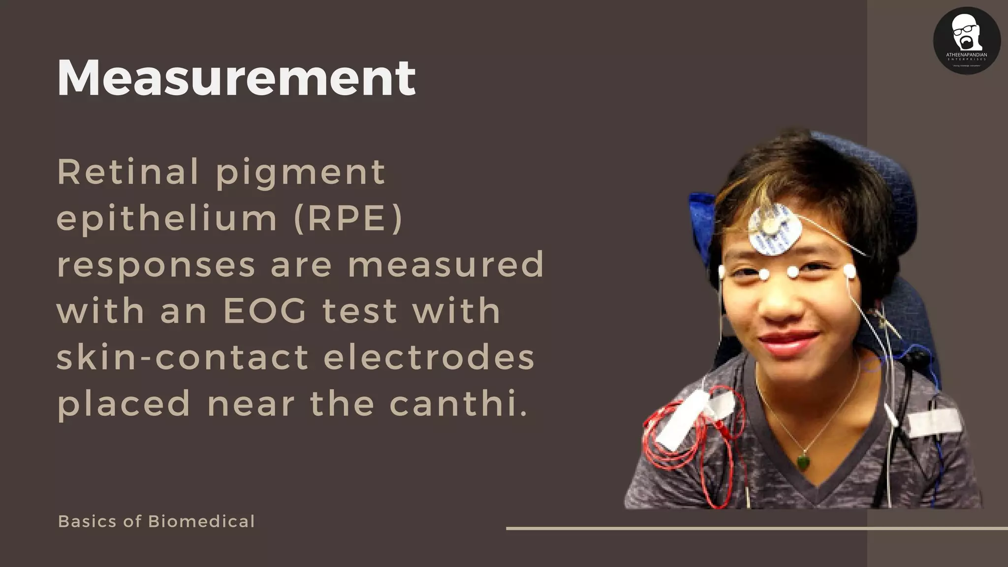 Electroretinography basics | PDF