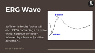 Electroretinography basics | PDF