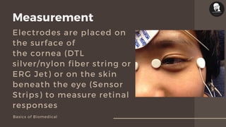 Electroretinography basics | PDF