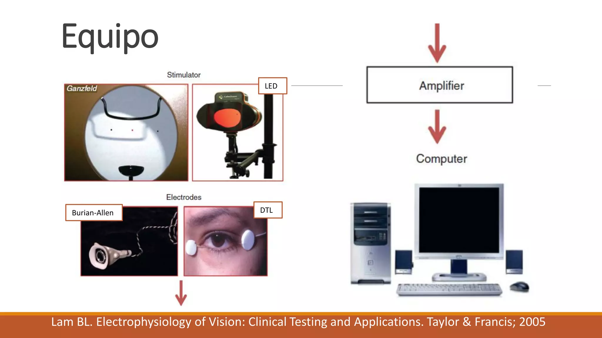 Electrofisiologia de la vision: Electrorretinograma (ERG) y ...