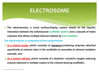 Electrosome | PPTX