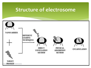 Electrosome | PPTX