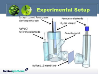 Electrosynthesis ecc2013 | PPTX