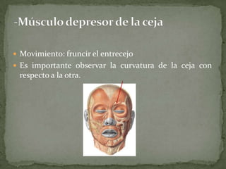 Electroterapia en parálisis facial | PPTX