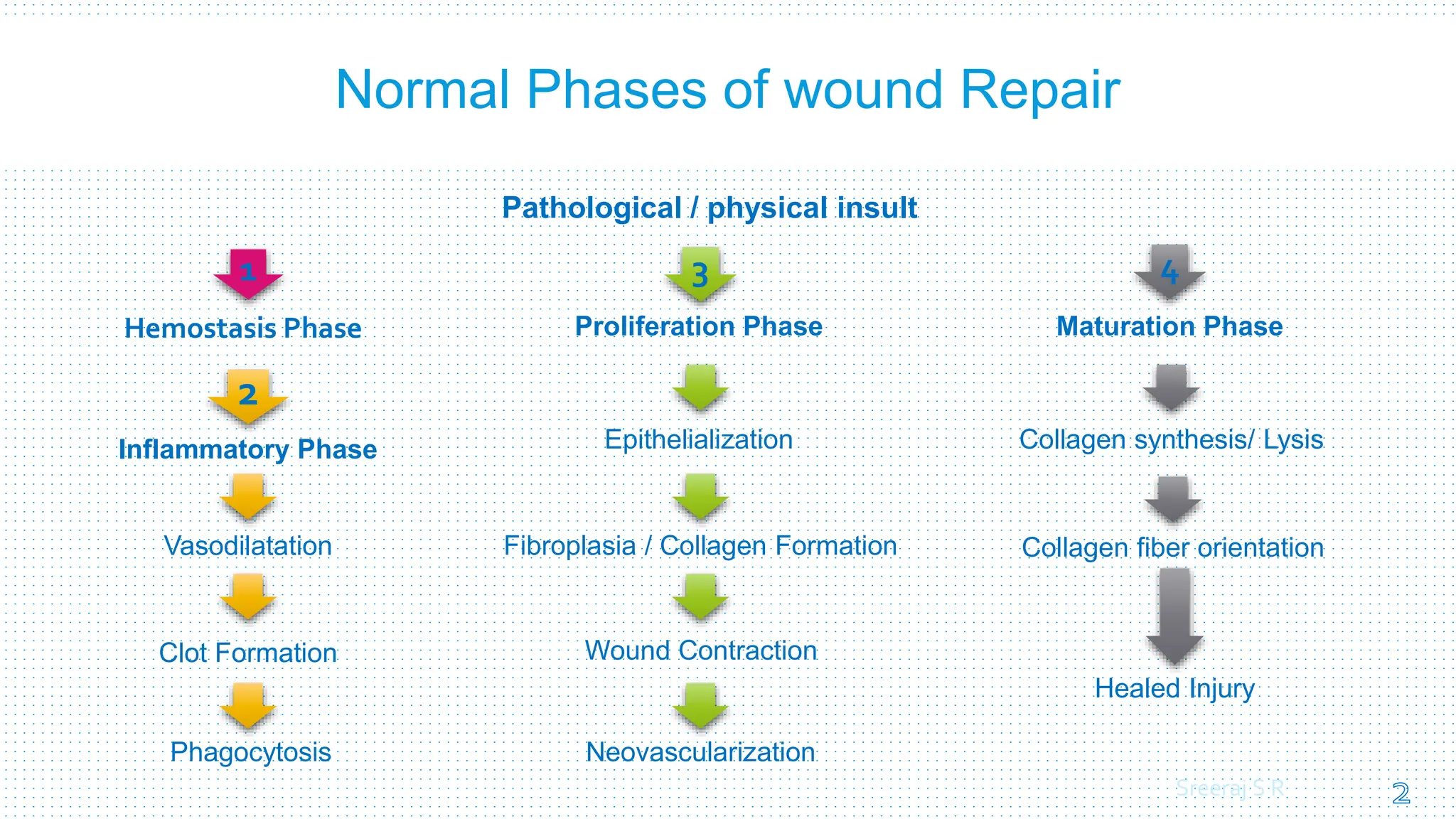 Physiotherapy in Wound Healing; Role of Electrotherapy | PPTX