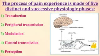 Electrotherapy, the Second Lecture (Pain Mechanisms).pdf
