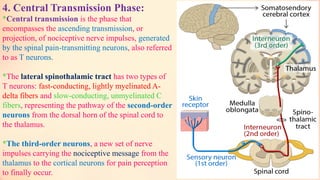 Electrotherapy, the Second Lecture (Pain Mechanisms).pdf