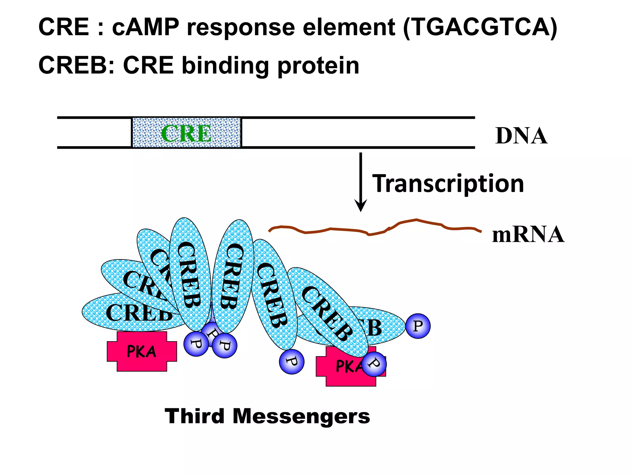E lecture | PPTX
