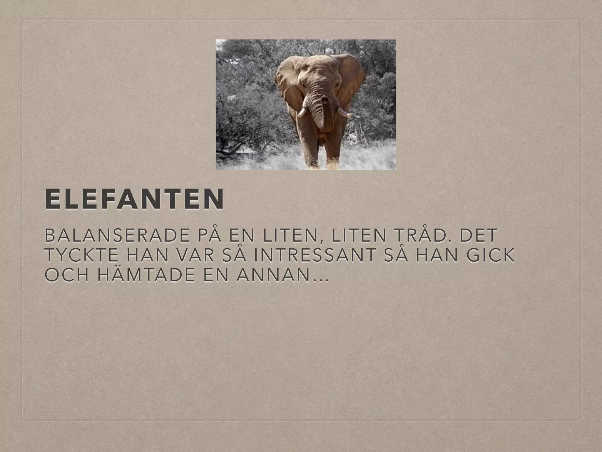 Elefant pdf | PDF