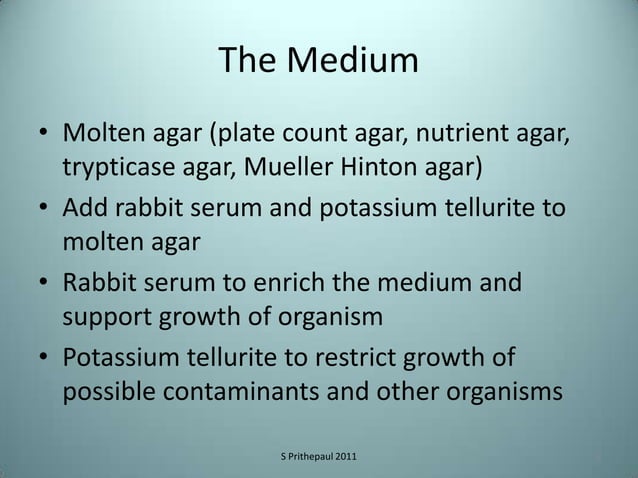 Elek test | PPTX | Medical Tests | Medical Health