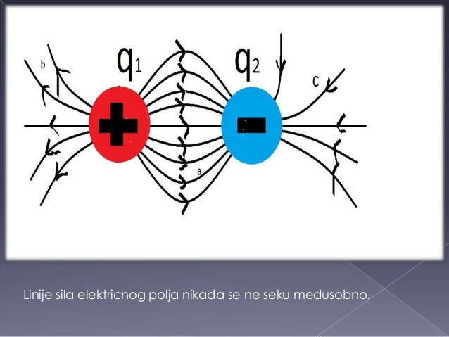 Elektricno Polje