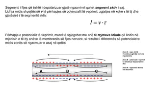 Elektrofiziologjia + zemra | PDF