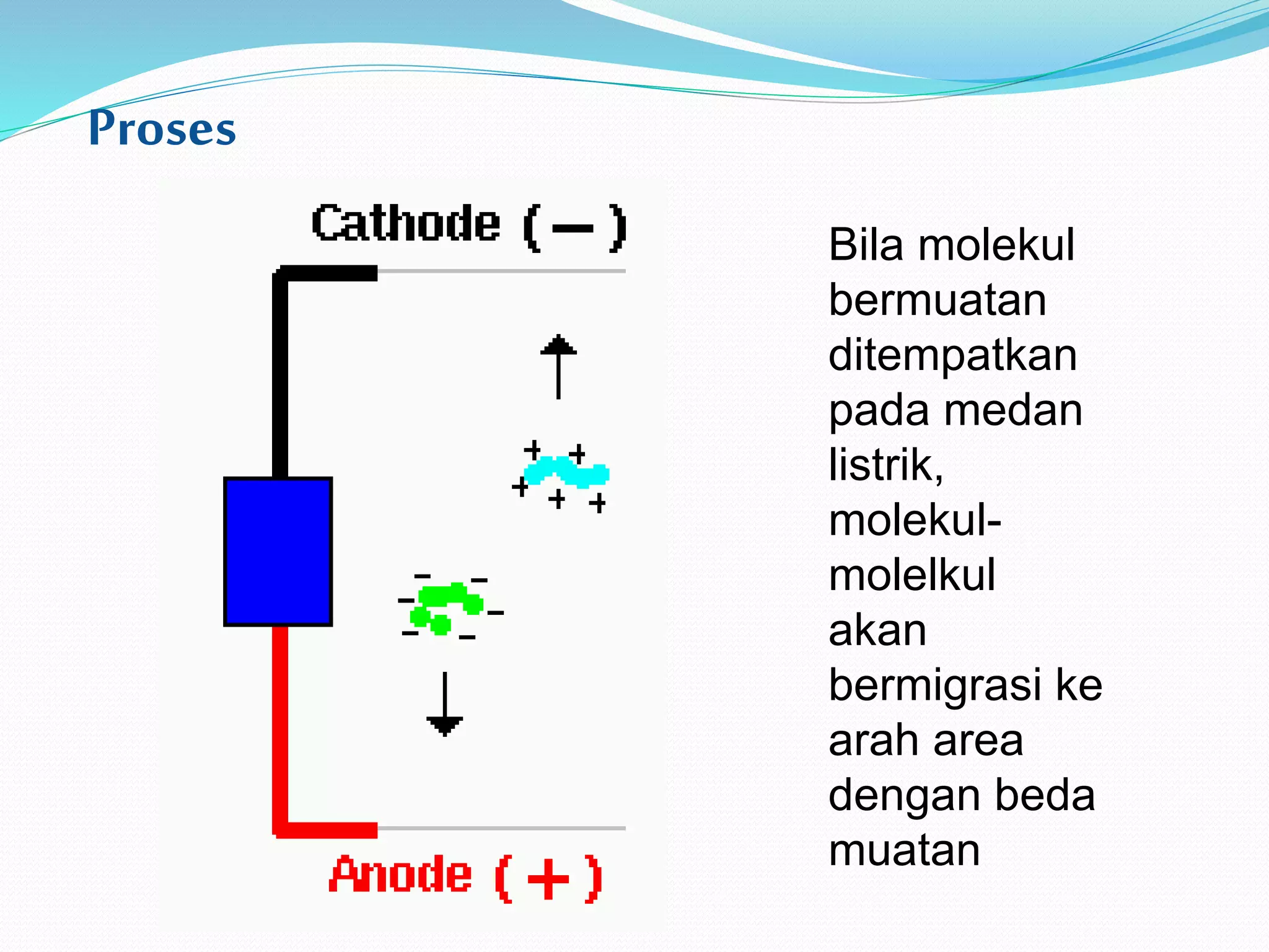 Elektroforesa ppt.pptx