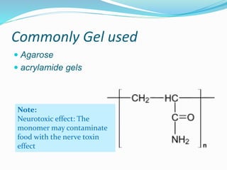 Elektroforesa ppt.pptx