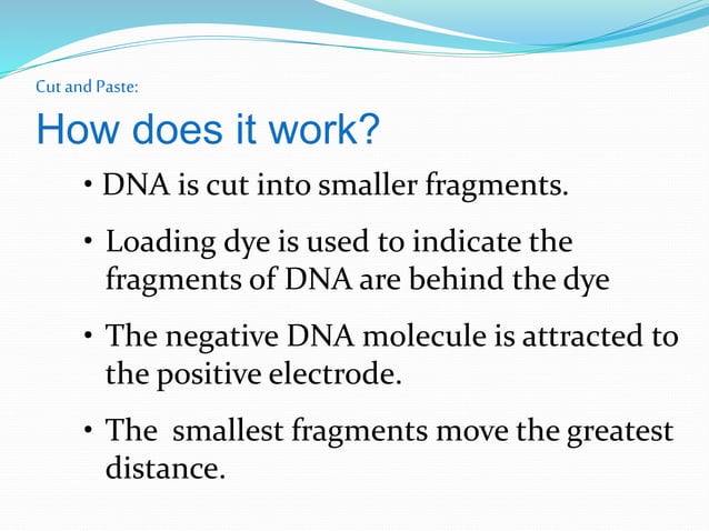 Elektroforesa ppt.pptx