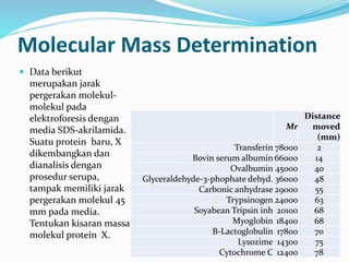Elektroforesa ppt.pptx