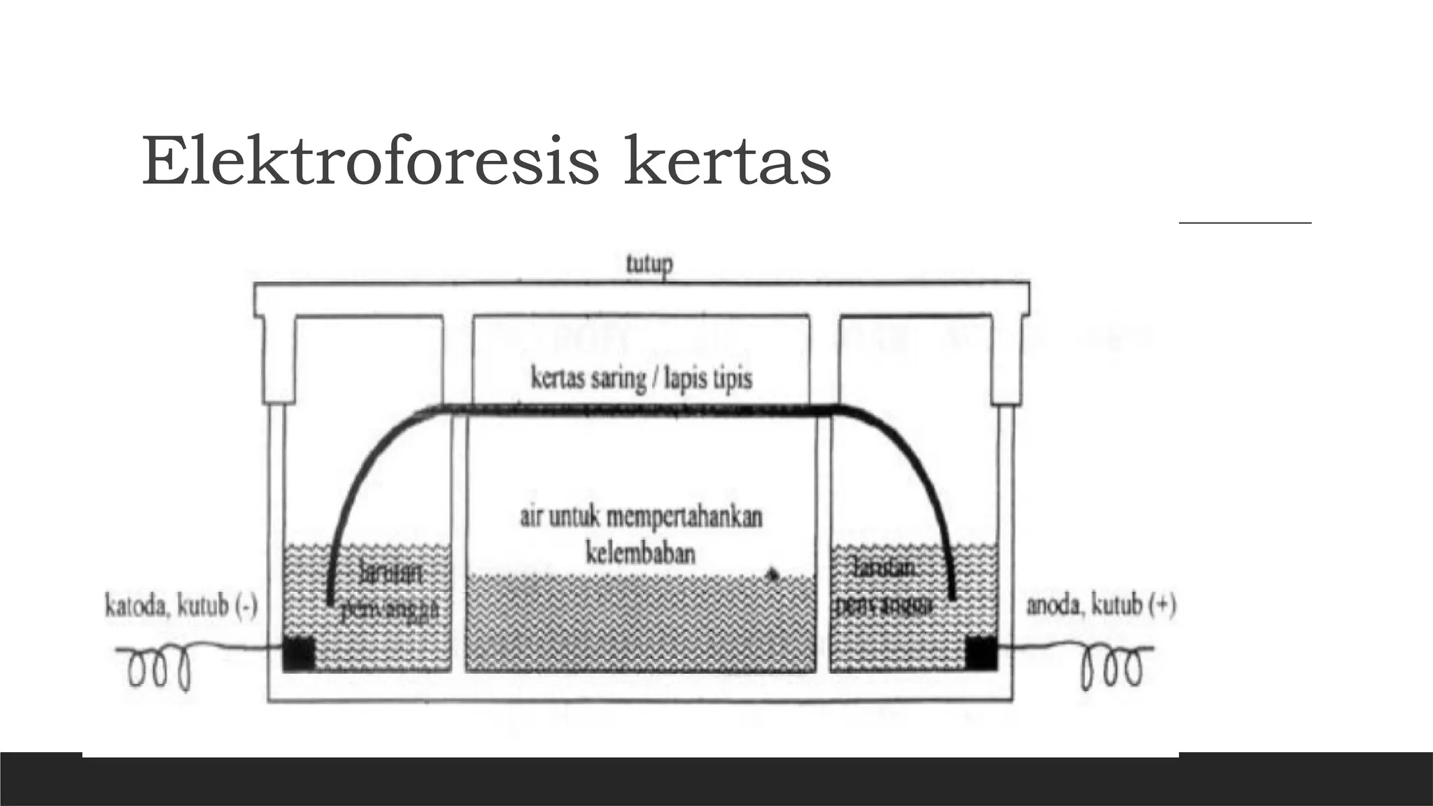ELEKTROFORESI PPT PEMBELAJARAN BAGUS.pptx