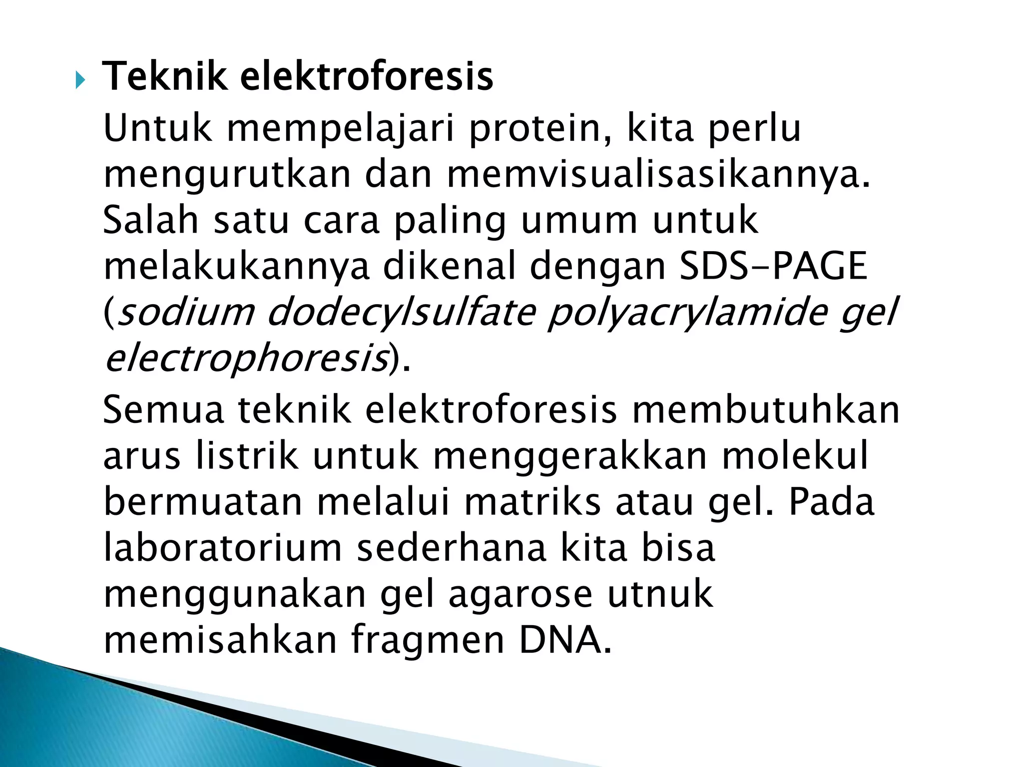 Elektroforesis | PPT