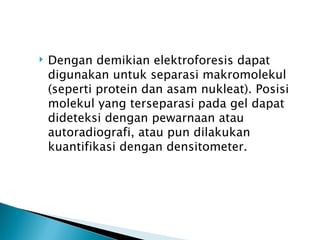 Elektroforesis | PPT