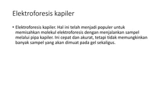Elektroforesis.pptx