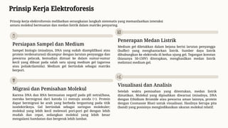 Elektroforesis Matakuliah Biologi Molekuler.pptx