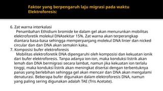 Elektroforesis pada biologi molekuler.pptx