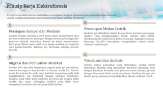 Elektroforesis pada biologi molekuler.pptx