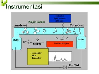 Elektroforesis Kapiler | PPT