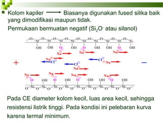 Elektroforesis Kapiler | PPT