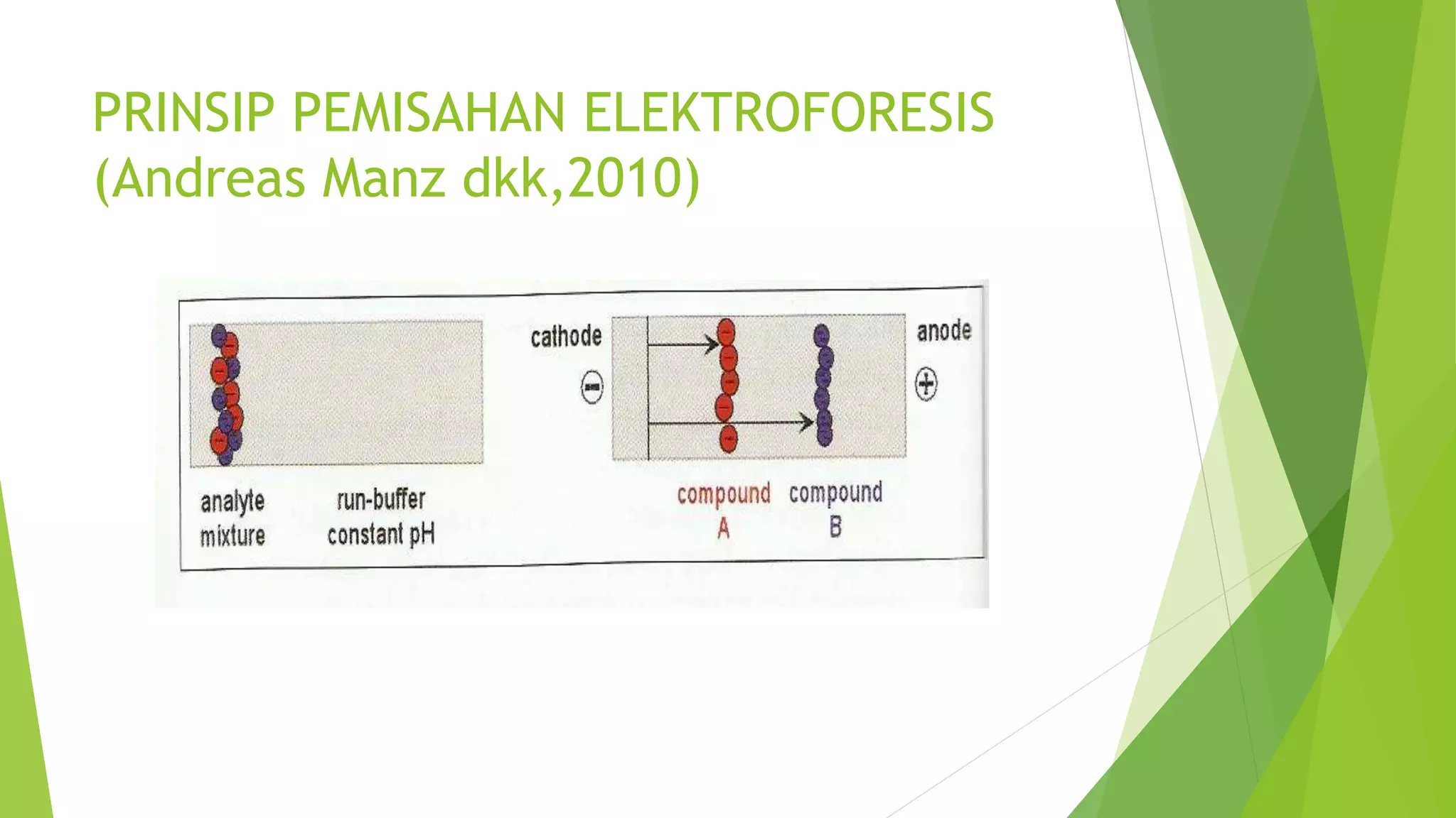 Elektroforesis bahan presentasi | PPTX