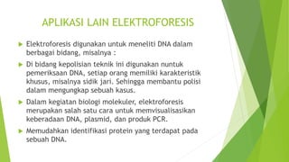 Elektroforesis bahan presentasi | PPTX