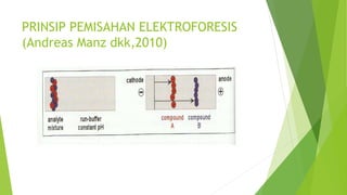 Elektroforesis bahan presentasi | PPTX