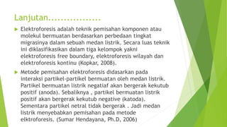 Elektroforesis bahan presentasi | PPTX