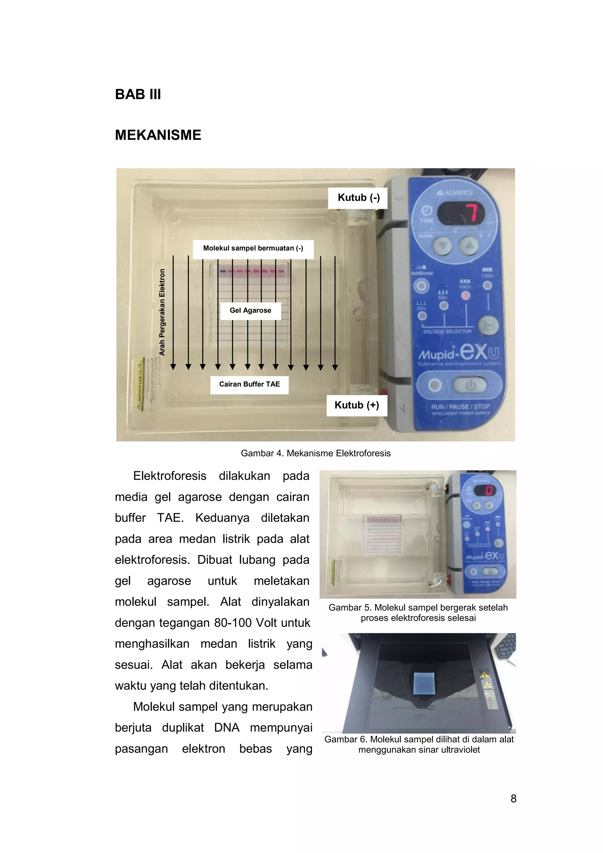 Pengaruh Medan dan Tegangan Listrik pada Elektroforesis dalam Proses ...