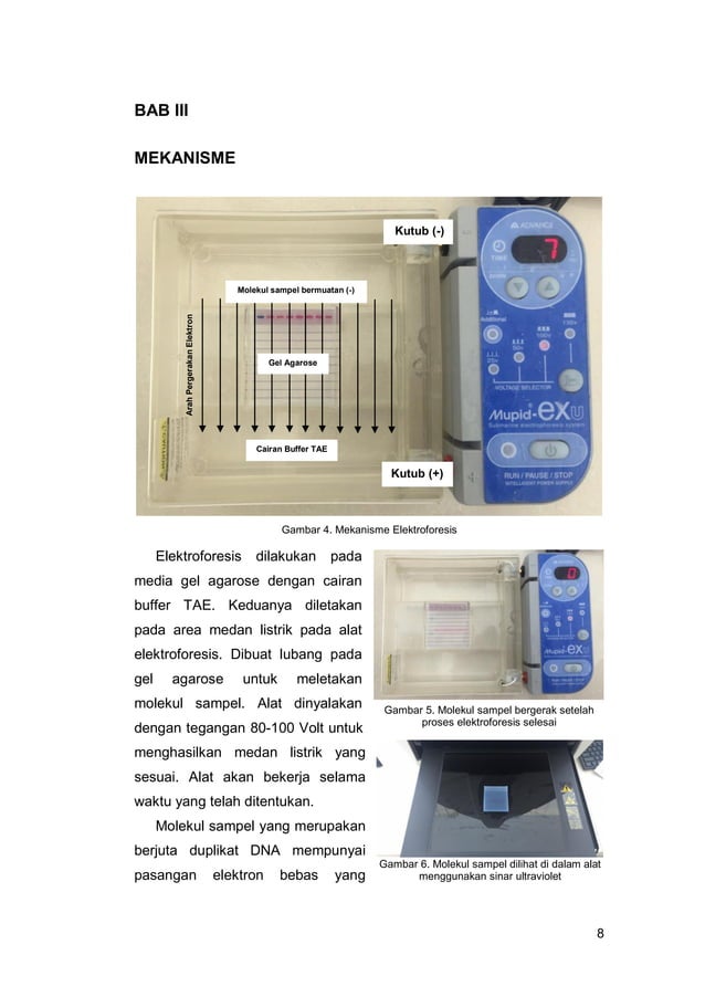 Pengaruh Medan dan Tegangan Listrik pada Elektroforesis dalam Proses ...