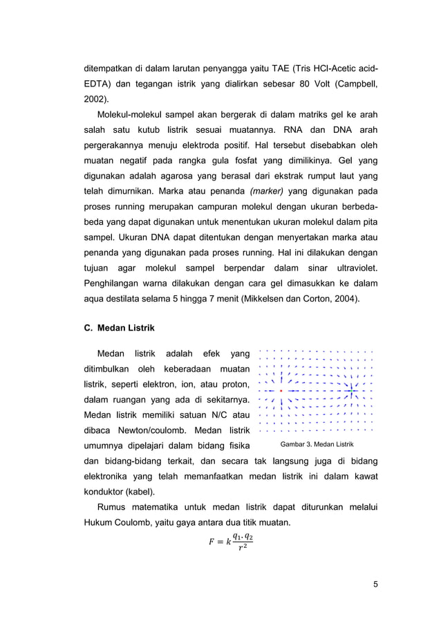 Pengaruh Medan dan Tegangan Listrik pada Elektroforesis dalam Proses ...