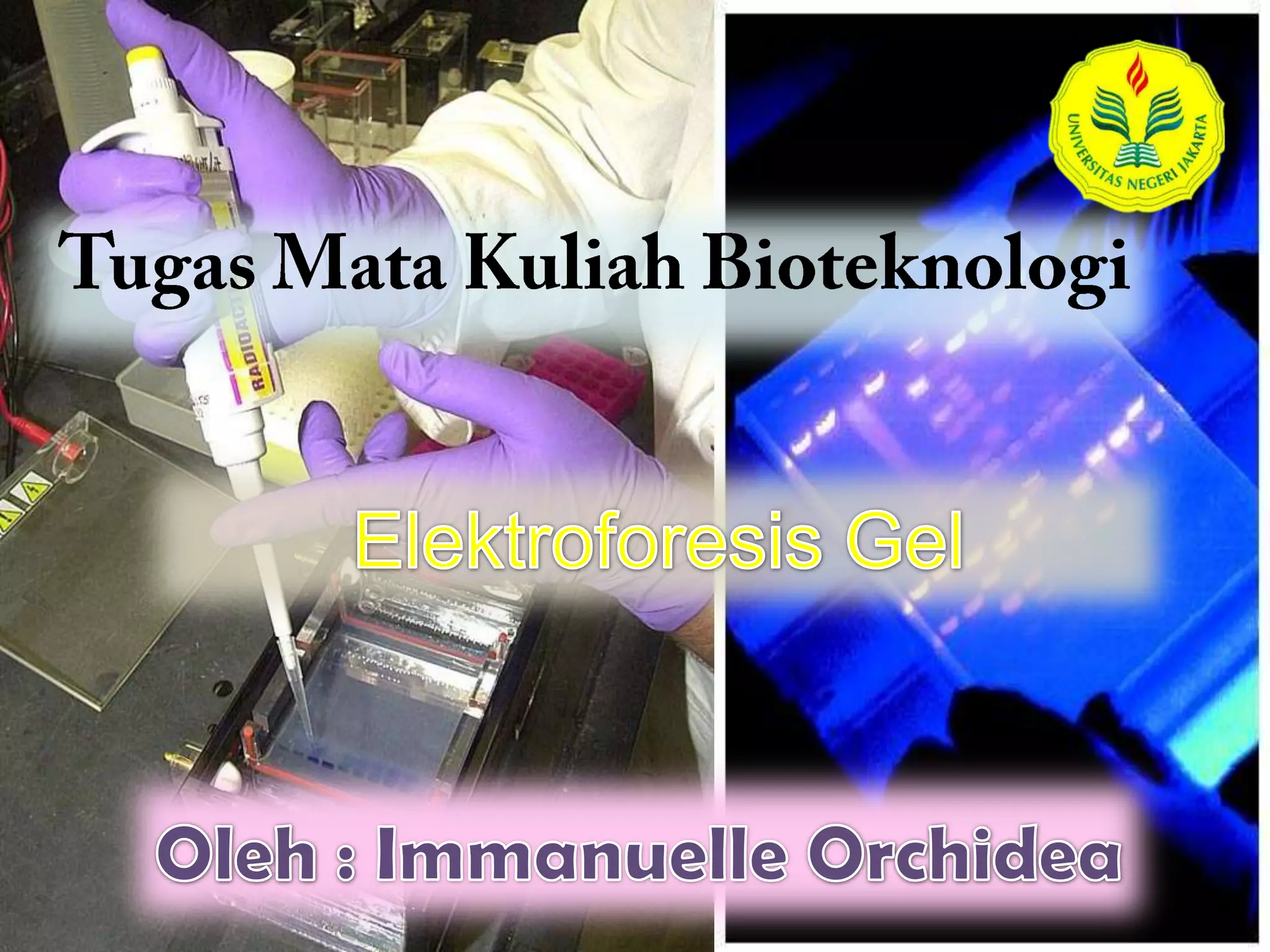 Elektroforesis gel | PPTX