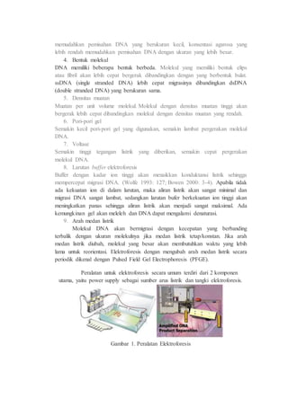 Elektroforesis + jenisnya | DOCX