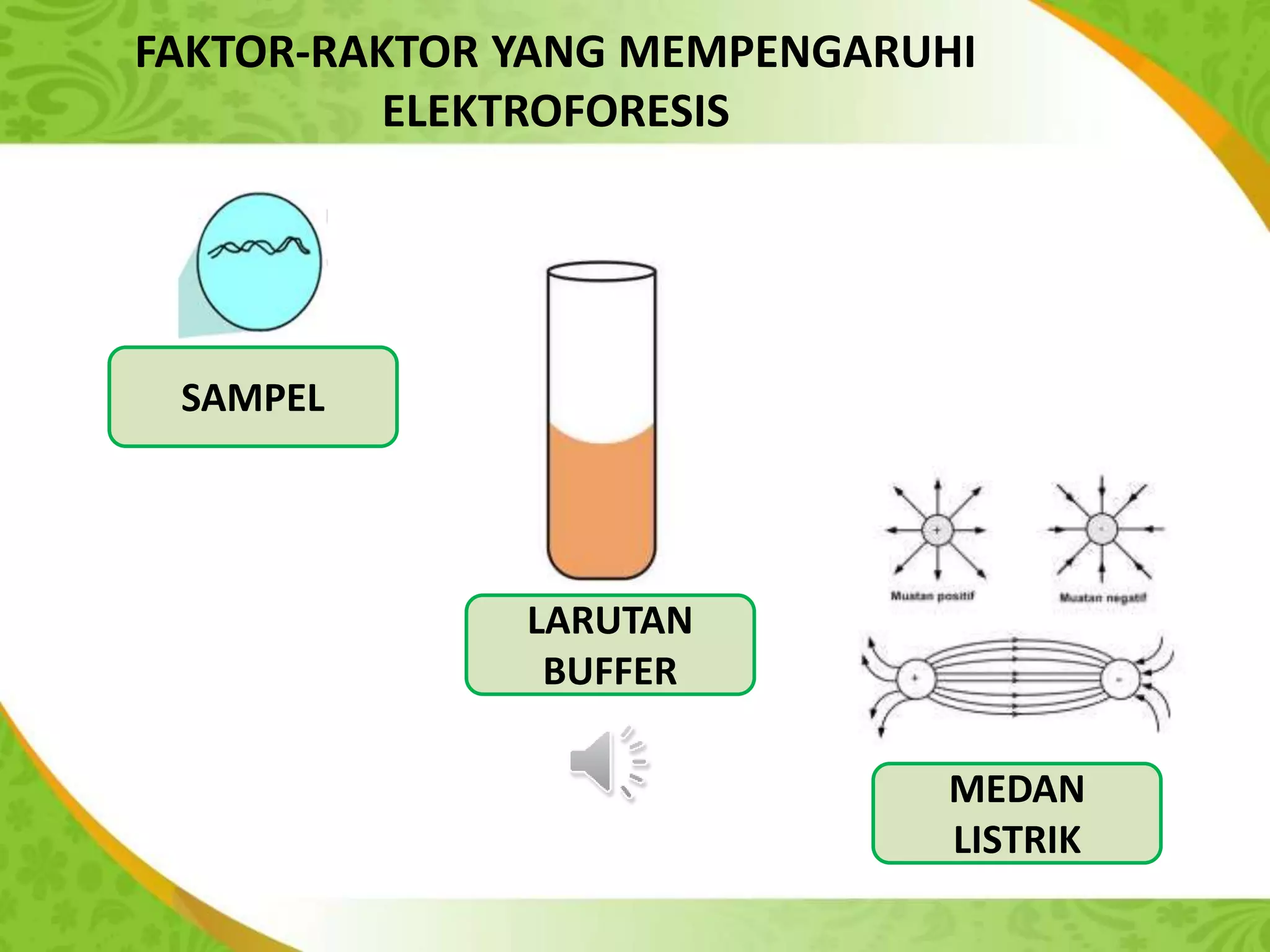 PPT Presentasi - Elektroforesis | PPTX