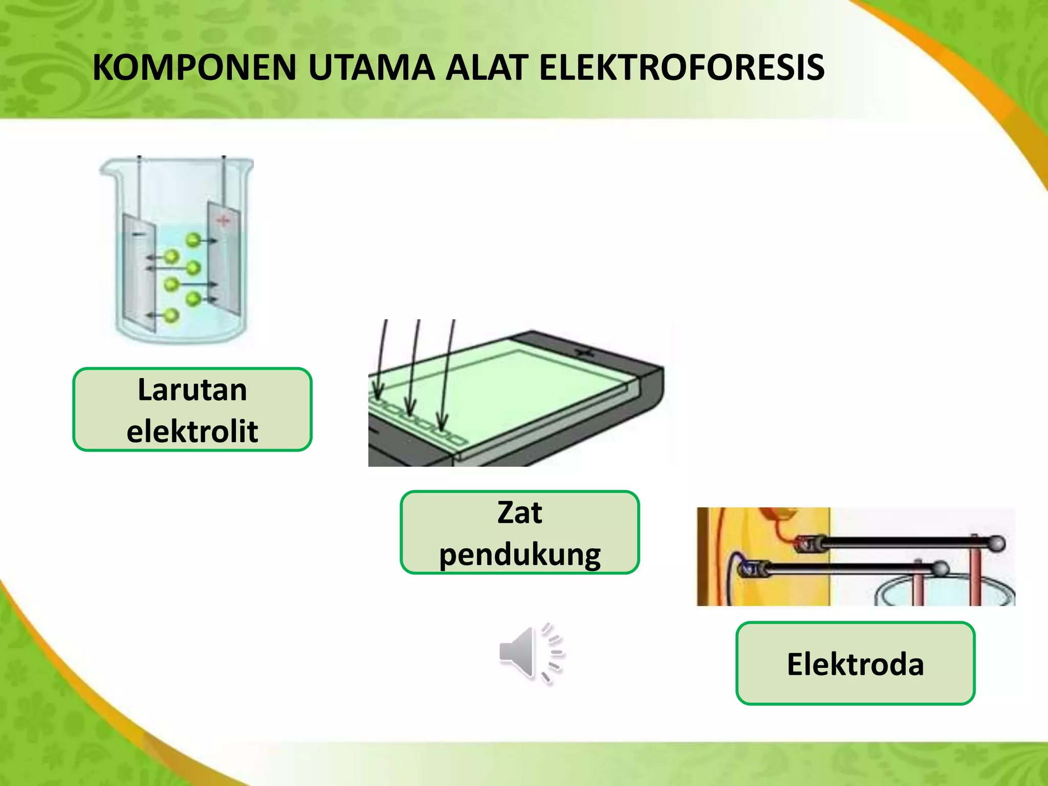 PPT Presentasi - Elektroforesis | PPTX