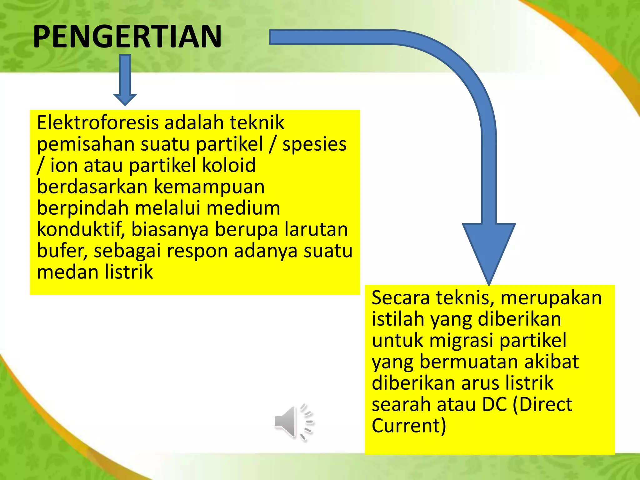 PPT Presentasi - Elektroforesis | PPTX