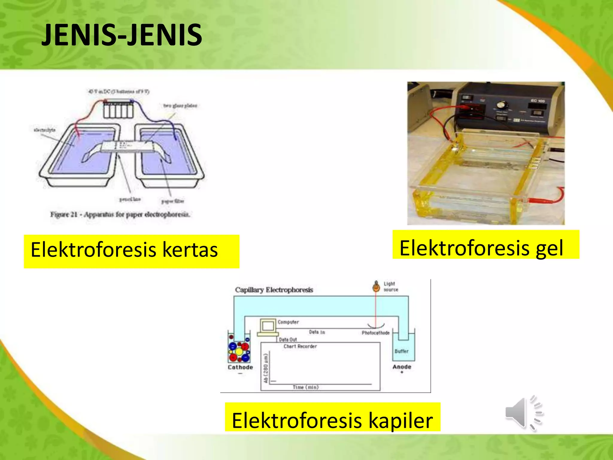 PPT Presentasi - Elektroforesis | PPTX