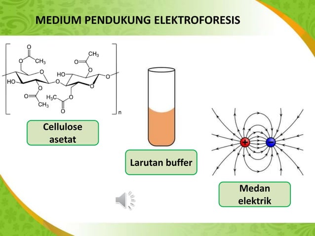 PPT Presentasi - Elektroforesis | PPTX