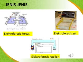 PPT Presentasi - Elektroforesis | PPTX