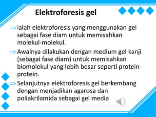 PPT Presentasi - Elektroforesis | PPTX