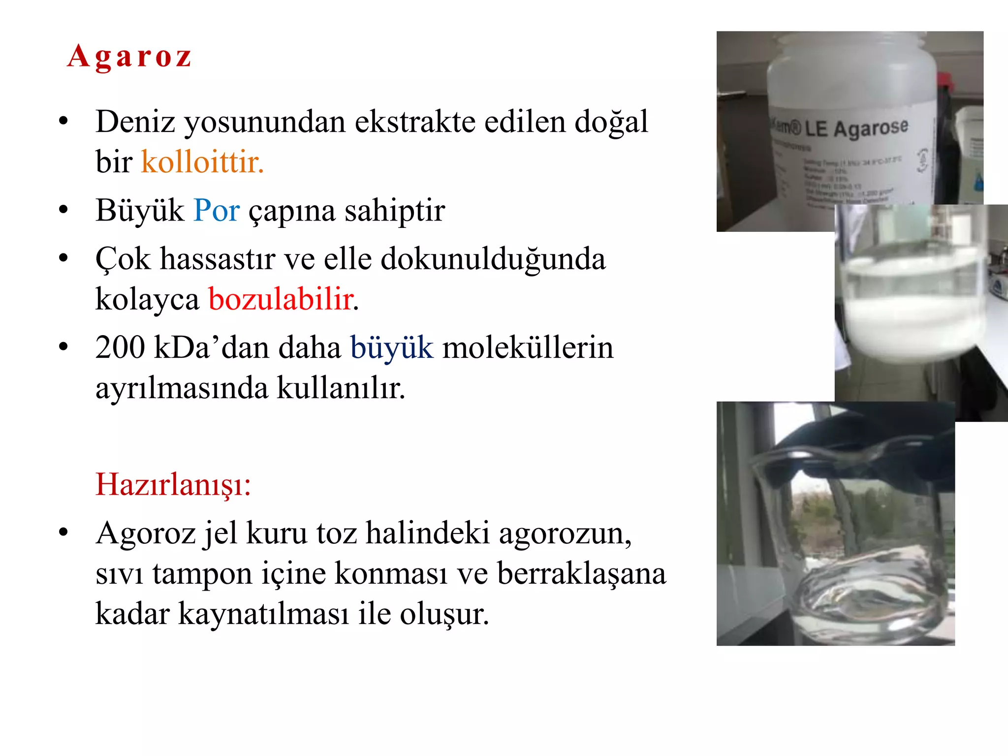Agaroz Jel Elektroforezi & İki Boyutlu Jel Elektroforez | PPTX